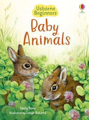 BABY ANIMALS Beginners Emily Bone Lucie Rioland USBORNE BOOKS2025 Paperback English ISBN：9781835405246 洋書 Books for kids...