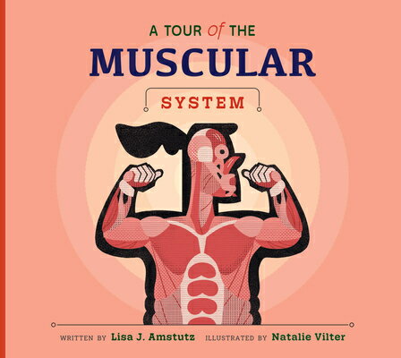 TOUR OF THE MUSCULAR SYSTEM Welcome to Your Body Lisa J. Amstutz Natalie Vilter AMICUS INK2026 Paperback English ISBN：97...