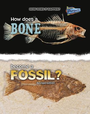 HOW DOES A BONE BECOME A FOSSI How Does It Happen Melissa Stewart RAINTREE2016 Paperback Revised English ISBN：9781410985...