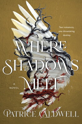 WHERE SHADOWS MEET Patrice Caldwell WEDNESDAY BOOKS2025 Hardcover English ISBN：9781250815347 洋書 NonーClassifiable（その他）