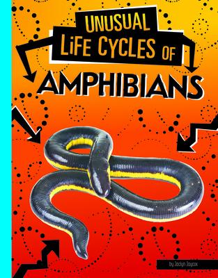 UNUSUAL LIFE CYCLES OF AMPHIBI Unusual Life Cycles Jaclyn Jaycox CAPSTONE PR2021 Hardcover English ISBN：9781496695352 洋書...