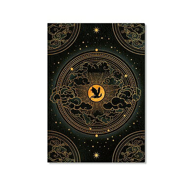 4TH WING SHADOWS OF NAVARRE A6 Fourth Wing Paperblanks PAPERBLANKS2026 Other English ISBN：9781408765364 洋書 Fiction & Lit...