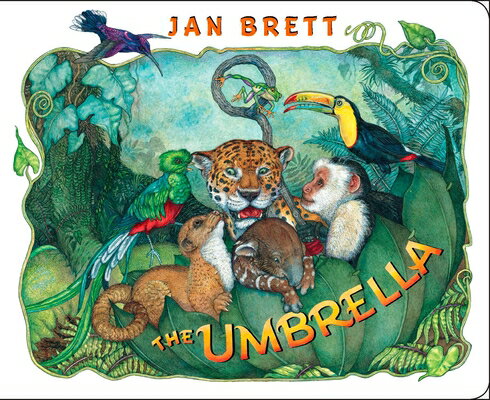 UMBRELLAーBOARD Jan Brett Jan Brett PUTNAM YOUNG READERS2011 Board　Books English ISBN：9780399255403 洋書 Books for kids（児童書...