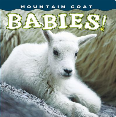 MOUNTAIN GOAT BABIESーBOARD Babies! (Farcountry Press) Sumio Harada FARCOUNTRY PR2013 Board　Books English ISBN：9781560375...