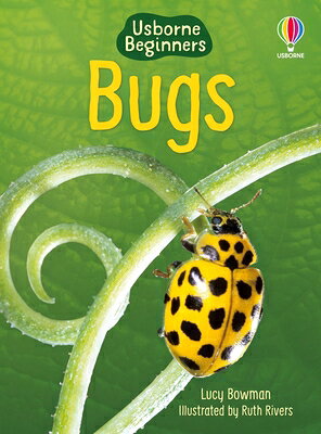 BUGS (USBORNE BEGINNERS) Beginners Lucy Bowman Ruth Rivers USBORNE BOOKS2025 Paperback English ISBN：9781835405505 洋書 Boo...