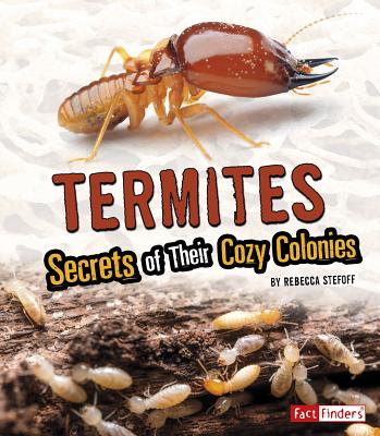 TERMITES Amazing Animal Colonies Rebecca Stefoff CAPSTONE PR2019 Hardcover English ISBN：9781543555554 洋書 Books for kids（...