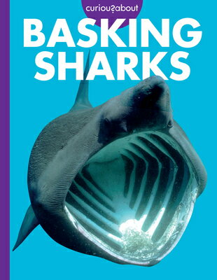 CURIOUS ABT BASKING SHARKS Monika Davies AMICUS INK2025 Paperback English ISBN：9798892005555 洋書 Books for kids（児童書） Juve...