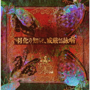 NETH PRIERE CAINウカノシラセ イゲンナルエイショウ ネスプリエールカイン 発売日：2026年02月18日 予約締切日：2026年02月14日 UKA NO SHIRASE.IGEN NARU EISHOU JAN：45291...