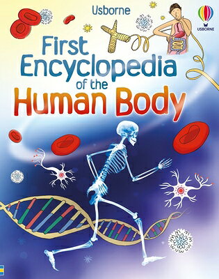 1ST ENCY OF THE HUMAN BODY First Encyclopedias Fiona Chandler David Hancock Holly Bathie USBORNE BOOKS2025 Hardcover Eng...