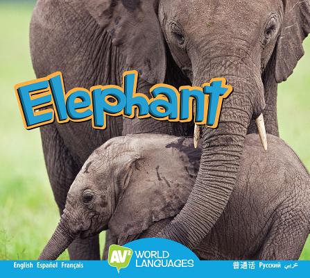 ELEPHANT World Languages Aaron Carr LIGHTBOX LEARNING2017 Library　Binding English ISBN：9781489665683 洋書 Books for kids（児...