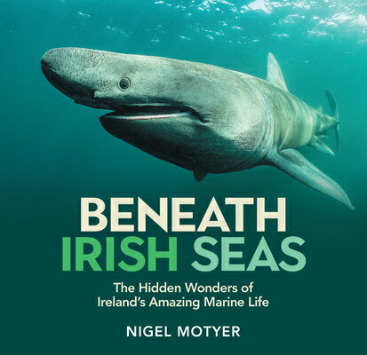 BENEATH IRISH SEAS Nigel Motyer MERRION PR2026 Hardcover English ISBN：9781785375705 洋書 Art & Entertainment（芸術＆エンターテインメント...