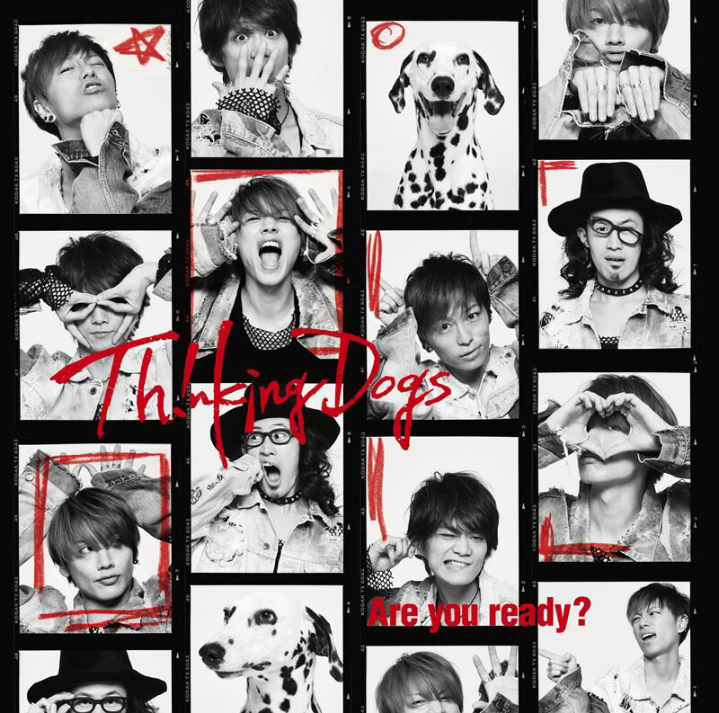 Thinking Dogsアー ユー レディ シンキングドッグス 発売日：2017年04月19日 ARE YOU READY? JAN：4547366295726 SRCLー9364 (株)ソニー・ミュージックレーベルズ (株)ソニー・ミュ...