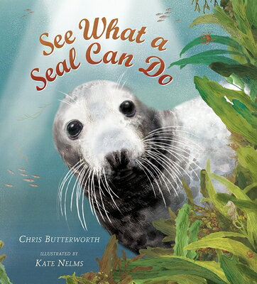 SEE WHAT A SEAL CAN DO Chris Butterworth Kate Nelms CANDLEWICK BOOKS2013 Hardcover English ISBN：9780763665746 洋書 Books f...