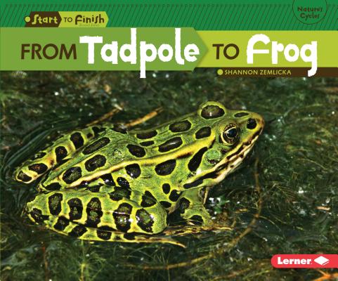FROM TADPOLE TO FROG Start to Finish, Second Shannon Zemlicka LERNER CLASSROOM2012 Paperback English ISBN：9780761385776 ...