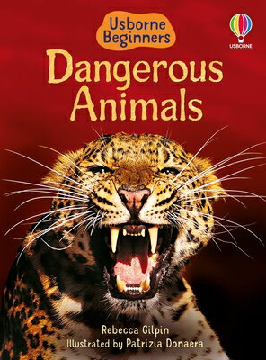 DANGEROUS ANIMALS Beginners Rebecca Gilpin Patrizia Donaera USBORNE BOOKS2025 Paperback English ISBN：9781835405789 洋書 Bo...