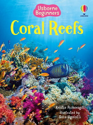 CORAL REEFS Beginners Kristie Pickersgill Sara Ugolotti USBORNE BOOKS2025 Paperback English ISBN：9781835405796 洋書 Books ...