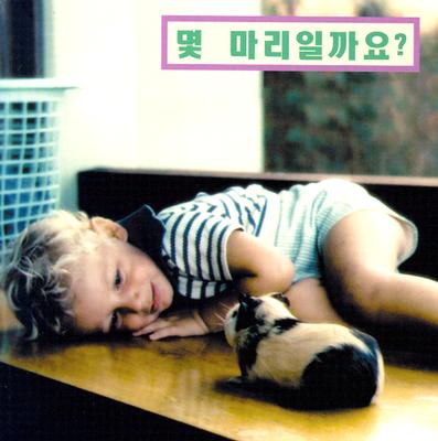 KORーHOW MANYーLIFT FLAP Jin Choi STAR BRIGHT BOOKS2004 Board　Books Korean ISBN：9781932065824 洋書 Books for kids（児童書） Juven...