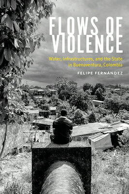 FLOWS OF VIOLENCE Felipe Fernndez UNIV OF ARIZONA PR2025 Paperback English ISBN：9780816555871 洋書 Social Science（社会科学） So...