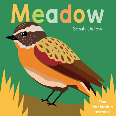NOW YOU SEE IT MEADOW Now You See It! Sarah Dellow CHILDS PLAY2022 Board　Books English ISBN：9781786285874 洋書 Books for k...