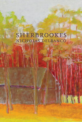 SHERBROOKES American Literature Nicholas Delbanco DALKEY ARCHIVE PR2011 Paperback English ISBN：9781564785879 洋書 Fiction ...