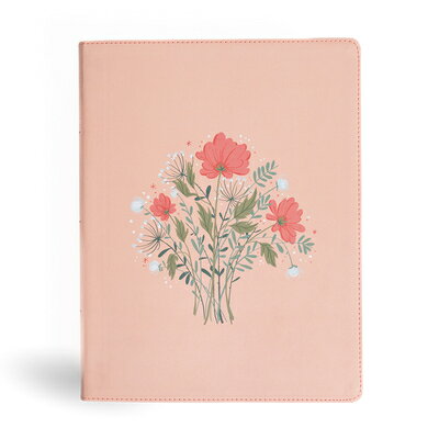 CSB ILLUSTRATORS NOTETAKING BI Notetaking Bible Csb Bibles by Holman HOLMAN A J2025 Imitation　Leather English ISBN：97983...
