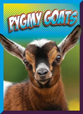 PYGMY GOATS Marysa Storm BLACK RABBIT BOOKS2025 Paperback English ISBN：9781645825937 洋書 Books for kids（児童書） Juvenile Fic...