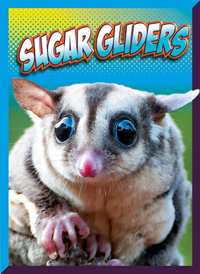 SUGAR GLIDERS Marysa Storm BLACK RABBIT BOOKS2025 Paperback English ISBN：9781645825944 洋書 Books for kids（児童書） Juvenile F...