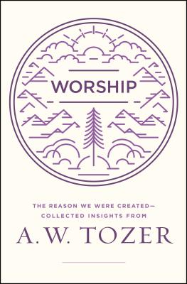 WORSHIP A. W. Tozer MOODY PUBL2017 Paperback English ISBN：9780802416032 洋書 Social Science（社会科学） Religion