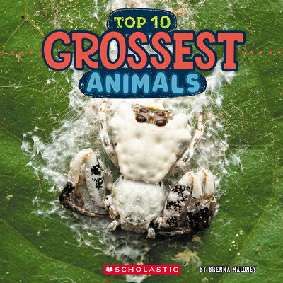 GROSSEST ANIMALS (WILD WORLD T Wild World Brenna Maloney CHILDRENS PR2025 Paperback English ISBN：9781546136033 洋書 Books ...