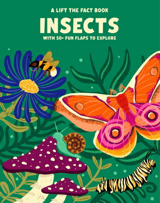 INSECTSーLIFT FLAP LiftーTheーFact Books Emma Whitelaw FIVE MILE PR2025 Board　Books English ISBN：9781923286047 洋書 Books for...