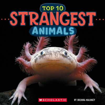 STRANGEST ANIMALS (WILD WORLD Wild World Brenna Maloney CHILDRENS PR2025 Paperback English ISBN：9781546136064 洋書 Books f...