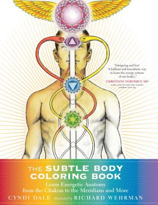 SUBTLE BODY COLOR BK Cyndi Dale Richard Wehrman SOUNDS TRUE INC2017 Paperback English ISBN：9781622036073 洋書 Social Scien...
