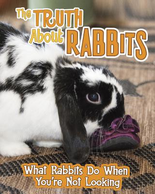 TRUTH ABT RABBITS Pets Undercover! Mary Colson RAINTREE2017 Hardcover English ISBN：9781410986085 洋書 Books for kids（児童書） ...