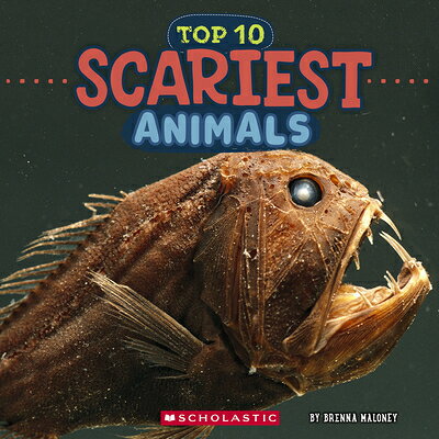 SCARIEST ANIMALS (WILD WORLD T Wild World Brenna Maloney CHILDRENS PR2025 Paperback English ISBN：9781546136095 洋書 Books ...