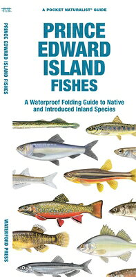 PRINCE EDWARD ISLAND FISHES Nature Observation North America Matthew Morris Morris Waterford Press Raymond Leung Raymond...