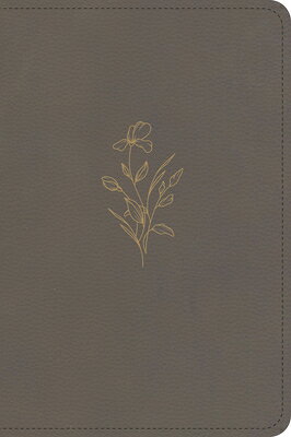 KJV LP COMPACT REF BIBLE CLAY Holman Bible Publishers HOLMAN A J2026 Imitation　Leather English ISBN：9798384546122 洋書 Non...