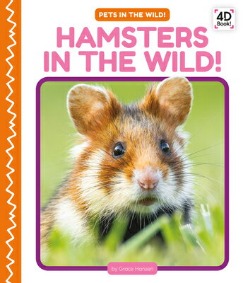 HAMSTERS IN THE WILD Pets in the Wild! Grace Hansen CODY KOALA2024 Library　Binding English ISBN：9781098246143 洋書 Books f...