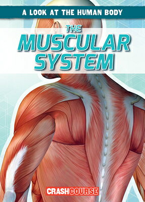 MUSCULAR SYSTEM A Look at the Human Body Jonas Edwards GARETH STEVENS INC2021 Library　Binding English ISBN：9781538266199...