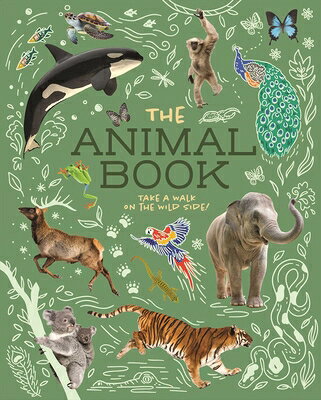ANIMAL BK Leach Lland ARCTURUS ED2024 Paperback English ISBN：9781398836211 洋書 Books for kids（児童書） Juvenile Nonfiction