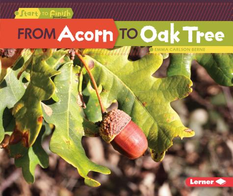FROM ACORN TO OAK TREE Start to Finish, Second Emma CarlsonーBerne LERNER CLASSROOM2017 Paperback English ISBN：9781512456...