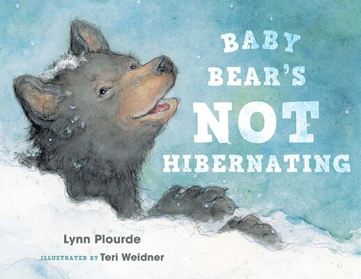 BABY BEARS NOT HIBERNATING Lynn Plourde Teri Weidner DOWN EAST BOOKS2016 Hardcover English ISBN：9781608936229 洋書 Books f...