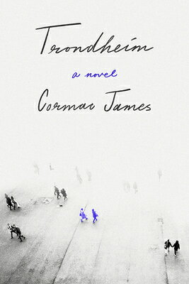 TRONDHEIM Cormac James BELLEVUE LITERARY PR2024 Paperback English ISBN：9781954276239 洋書 Fiction & Literature（小説＆文芸） Fiction