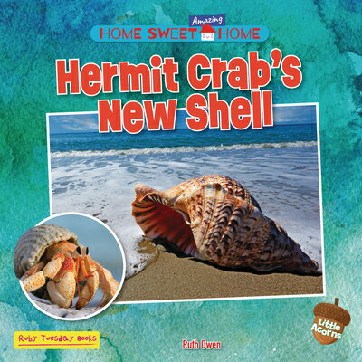 HERMIT CRABS NEW SHELL Home Sweet Amazing Home (Little Acorns) Ruth Owen RUBY TUESDAY BOOKS2026 Paperback English ISBN：9...