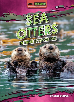 SEA OTTERS IN THEIR ECOSYSTEMS Vital to Earth! Keystone Species Explained O'Dowd Della BEARPORT PUB CO INC2024 Library　B...