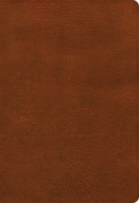 NASB SUPER GP REF BIBLE BURNT Holman Bible Publishers HOLMAN BIBLES2022 Imitation　Leather English ISBN：9781087756301 洋書 ...