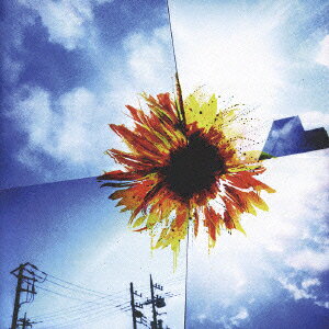 SOUTH BLOWシャイン サウスブロウ 発売日：2007年10月24日 予約締切日：2007年10月17日 SHINE JAN：4988002536344 VICLー62569 ビクターエンタテインメント ビクターエンタテインメント [...