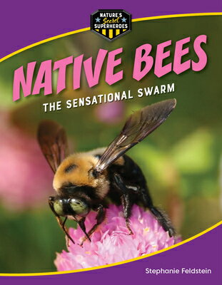 NATIVE BEES 21st Century Skills Library: Nature's (Secret) Superheroes Stephanie Feldstein CHERRY LAKE PUB2025 Library　B...