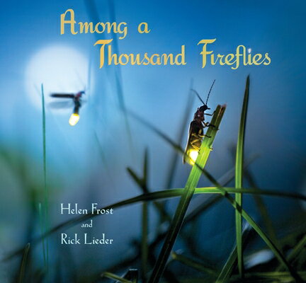 AMONG A THOUSAND FIREFLIES Step Gently, Look Closely Helen Frost Rick Lieder CANDLEWICK BOOKS2016 Hardcover English ISBN...