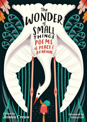 WONDER OF SMALL THINGS James Crews Nikita Gill STOREY PUB2023 Paperback English ISBN：9781635866445 洋書 Fiction & Literatu...