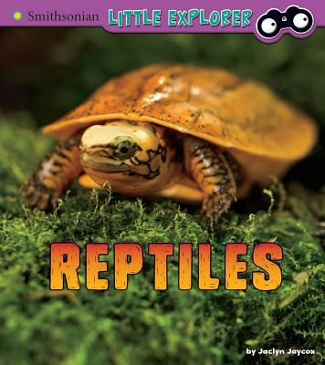 REPTILES Little Zoologist Jaclyn Jaycox PEBBLE BOOKS2018 Hardcover English ISBN：9781543526479 洋書 Books for kids（児童書） Juv...